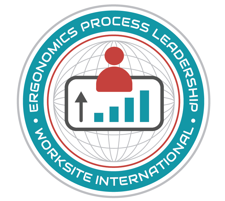 Ergonomics Process Consultation